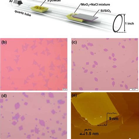 A Schematic Of The Cvd Synthesis Process For Moo3mos2 Download Scientific Diagram