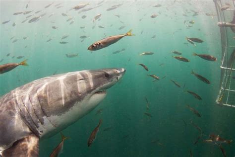 10 Of The Best Adventure Travel Experiences In The World P2