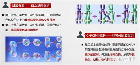 焦老师讲遗传系列之12：拷贝数变异cnv 知乎