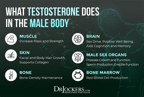 12 Ways To Boost Testosterone Levels Naturally