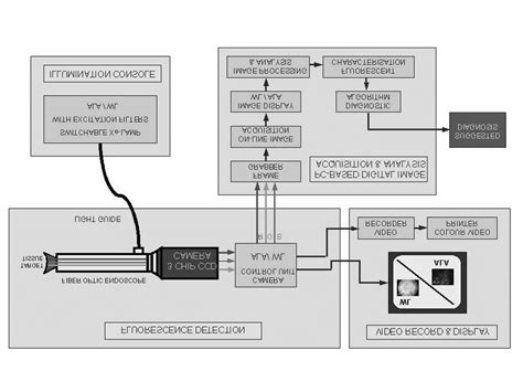 Schematic Diagram Of The Digitized Fluorescence Endoscopy Imaging
