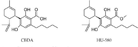Table 1 From Major Phytocannabinoids And Their Related Compounds Should We Only Search For