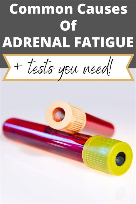 Symptoms Of Adrenal Fatigue Artofit