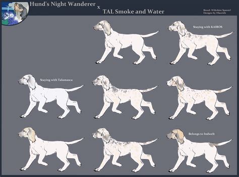 Wiltshire Spaniel Litter Nightcold Theme Closed By Hlaorith On Deviantart