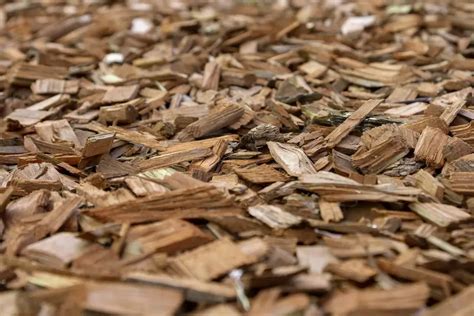 Pine Straw Vs Mulch Everything You Need To Know