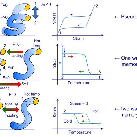 Illustrative Schematic Demonstration Of Basic Shape Memory