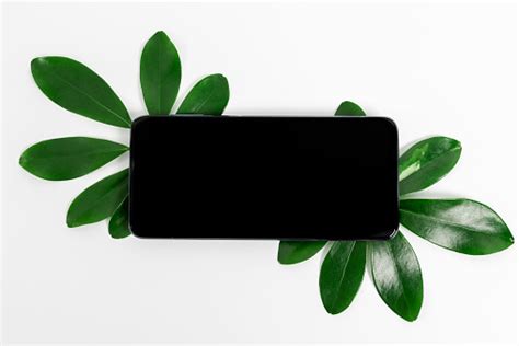 자연 테마 프리젠 테이션 아이디어 디자인 재생 가능한 재료 표시 지속 가능한 제품 만들기 유기 재료 원예 디자인 계획 봄 시간 아이디어 스튜디오 촬영에 대한 스톡 사진 및