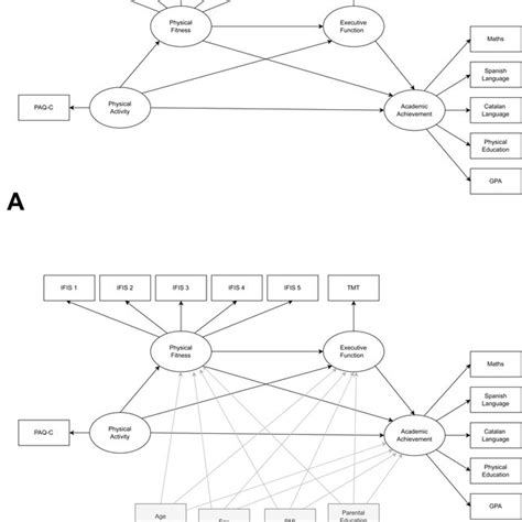 Hypothesised Model Of The Relationships Between Physical Activity