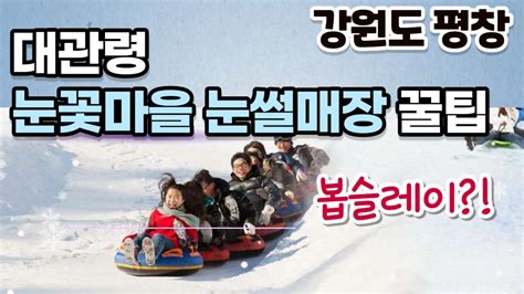평창 대관령 눈꽃썰매장 리뷰 꿀팁 아이 가족 연인과 함께 가기 좋은 곳 겨울철 가볼만한 곳 관광지 강원도 Youtube