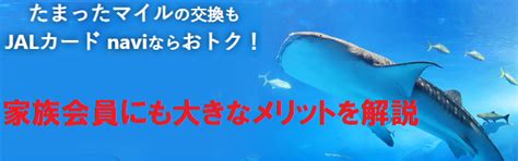 Jalカードnaviの家族旅行裏技！国内線navi割引・国際線減額マイルキャンペーンとお得な入会方法を解説【2025年】 スマートマイラー