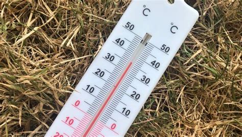Canicule Des Records Absolus De Chaleur Battus En Seine Maritime Et