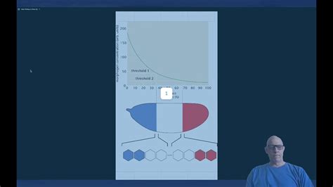 Positional Information The French Flag Model Youtube
