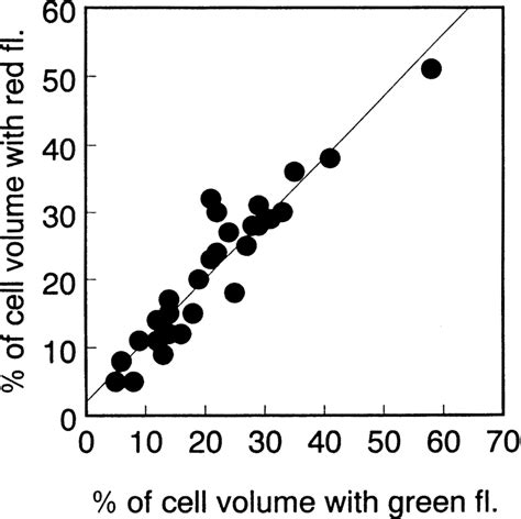 Correlation Between Percentage Of Cell Volume Occupied By Ingested