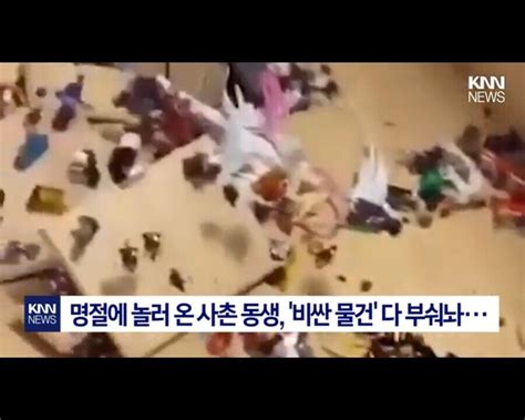 명절 사촌동생 대참사 유머움짤이슈 에펨코리아
