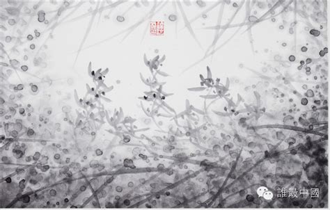 文化典籍中对兰的记载已有两千多年的历史 高清图片堆糖美图壁纸兴趣社区