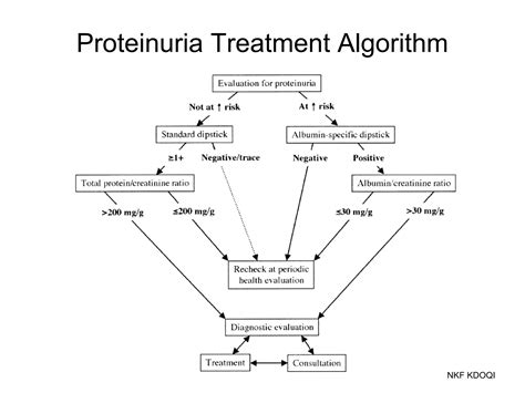 Proteinuria Treatment Algorithm Ppt