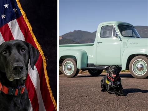 Latest Body Armor Donation Makes 95 Of Colorado Springs Police K9s