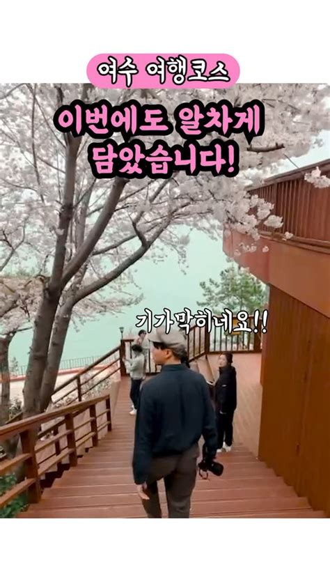 돌산대교를 지나 10분 깎아지듯 웅장한 해안절벽에 자리한 용월사 🌿 벚꽃 필 땐 108 계단을 따라 벚꽃 터널이 펼쳐져요
