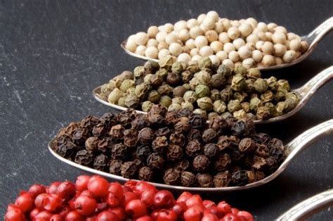 The Ultimate Guide To Spices
