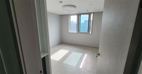 실크벽지 시공 도배 하우스 숨고 숨은고수
