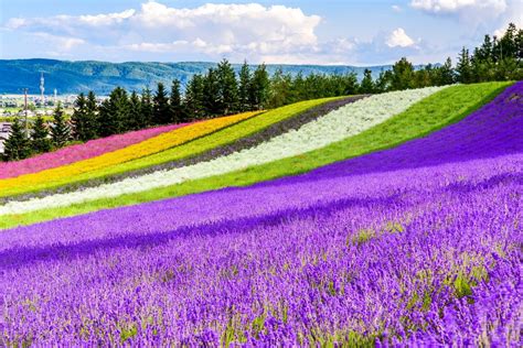 When Is The Best Time To Visit Hokkaido All About Hokkaido Weather
