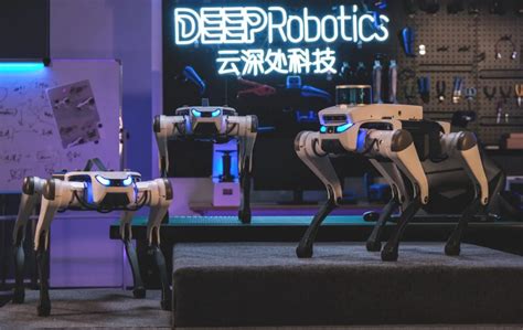 Deep Robotics 1