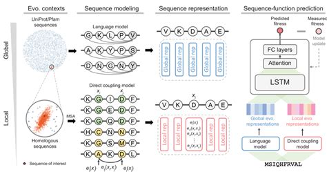 Ecnet Evolutionary Context Integrated Neural Network Cabbi