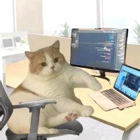 报错Cannot set attribute src directly 珩光