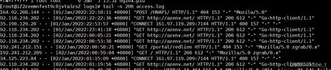 nginx系列四：实现可视化并实时监控access日志 linux 分析 nginx日志 可视化工具 csdn博客