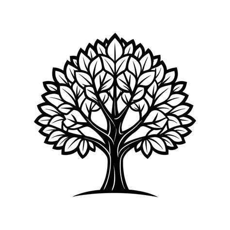 Unique Carolina Cherry Laurel Tree Outline 57695513 Vector Art At Vecteezy