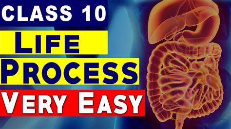 Life Processes Class 10 Science Biology Life Processes Nutrition
