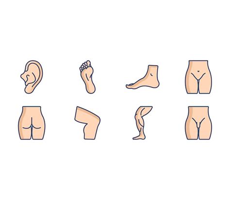 Premium Vector Human Body Parts Illustration Set