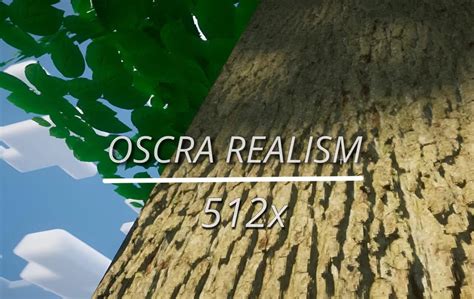 Ocsra Realism 512x Hyper Realstic Resource Pack For Minecraft Java Edition Minecraft Texture
