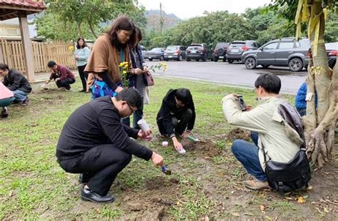 樹葬植存骨灰 毛寶貝回歸大地懷抱 翻爆 翻報