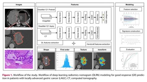 病理组学数据委托实验：如何在最短时间内完成一篇中科院二区的sci病理组学文章 知乎