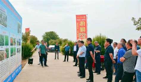 杨凌秦丰种业股份有限公司 基层动态 杨凌伟隆：陕西省农垦集团到伟隆种业考察交流