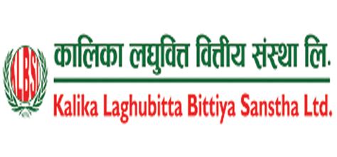 Bfis News