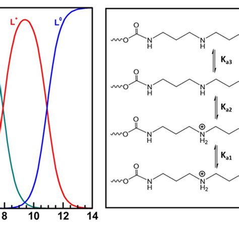 Speciation Curves Obtained For Plot α Versus Ph For Each α Of Download Scientific Diagram