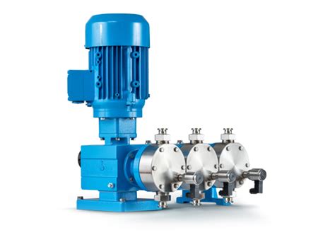 Lewa Ecodos — Cal West Mashy