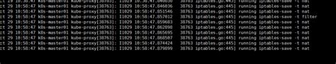 kubernetes 1 9版本二进制部署 kube proxy组件没成功调iptables添加相关规则 SHOOTER