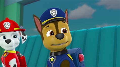Image Paw Patrol Pups Save A School Bus Scene 9 Marshall Chase