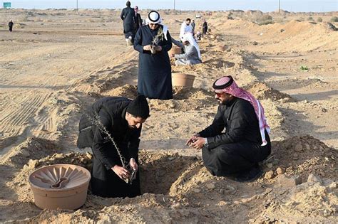 بيئة تبوك تزرع ألف شتلة بالمدينة الصناعية جريدة المدينة