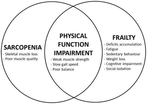 Sarcopenia And Frailty