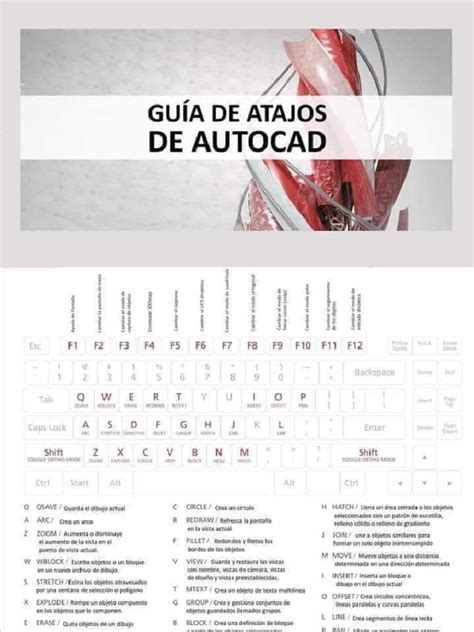 Atajos Autocad Pdf