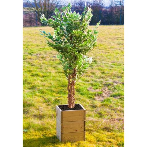 Wooden Square Tree Tub Planter
