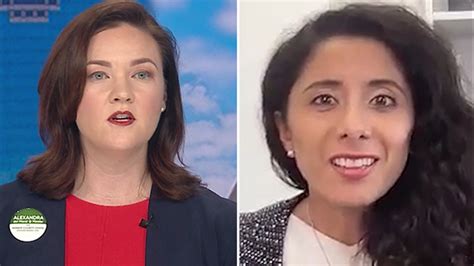 Harris County Judge Race Candidates Campaign In Houston