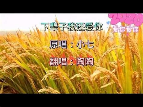 一首下辈子我还爱你歌词句句无奈心酸听哭多少有情人 YouTube