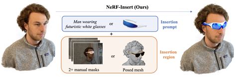 Nerf Insert 3d Local Editing With Multimodal Control Signals Diffusion Singularity