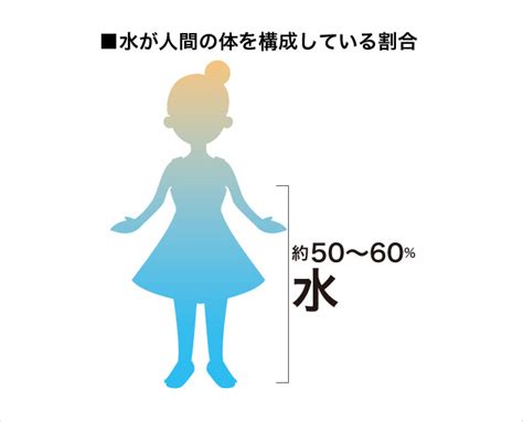 水 成分情報 わかさの秘密