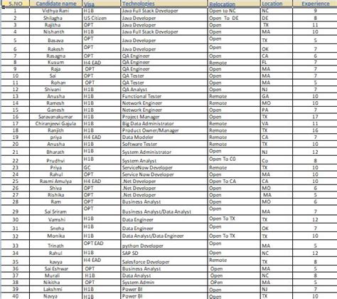 Businessanalyst Dataanalyst Dataengineer Networkengineer Productowner Projctmanager